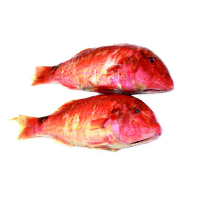 Pagro da 1000/2000gr - Pesce a casa tua